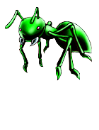 Card Gallery:Army Ant Token - Yugipedia - Yu-Gi-Oh! wiki