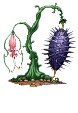 Card Gallery:Evil Thorn - Yugipedia