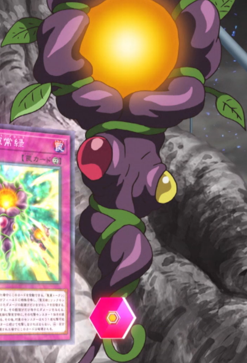 Sunvine Token - Yugipedia - Yu-Gi-Oh! wiki