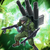Backup Warrior - Yugipedia