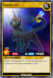 Card Gallery:Straynge Cat - Yugipedia - Yu-Gi-Oh! wiki