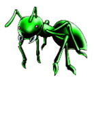 Card Gallery:Army Ant Token - Yugipedia - Yu-Gi-Oh! wiki
