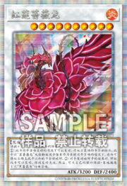 Card Gallery:Ruddy Rose Dragon - Yugipedia - Yu-Gi-Oh! wiki
