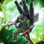 Backup Warrior - Yugipedia
